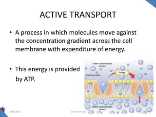 Transport across cell membrane | PPTX