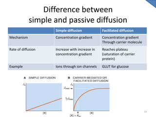Concentration Gradient Example