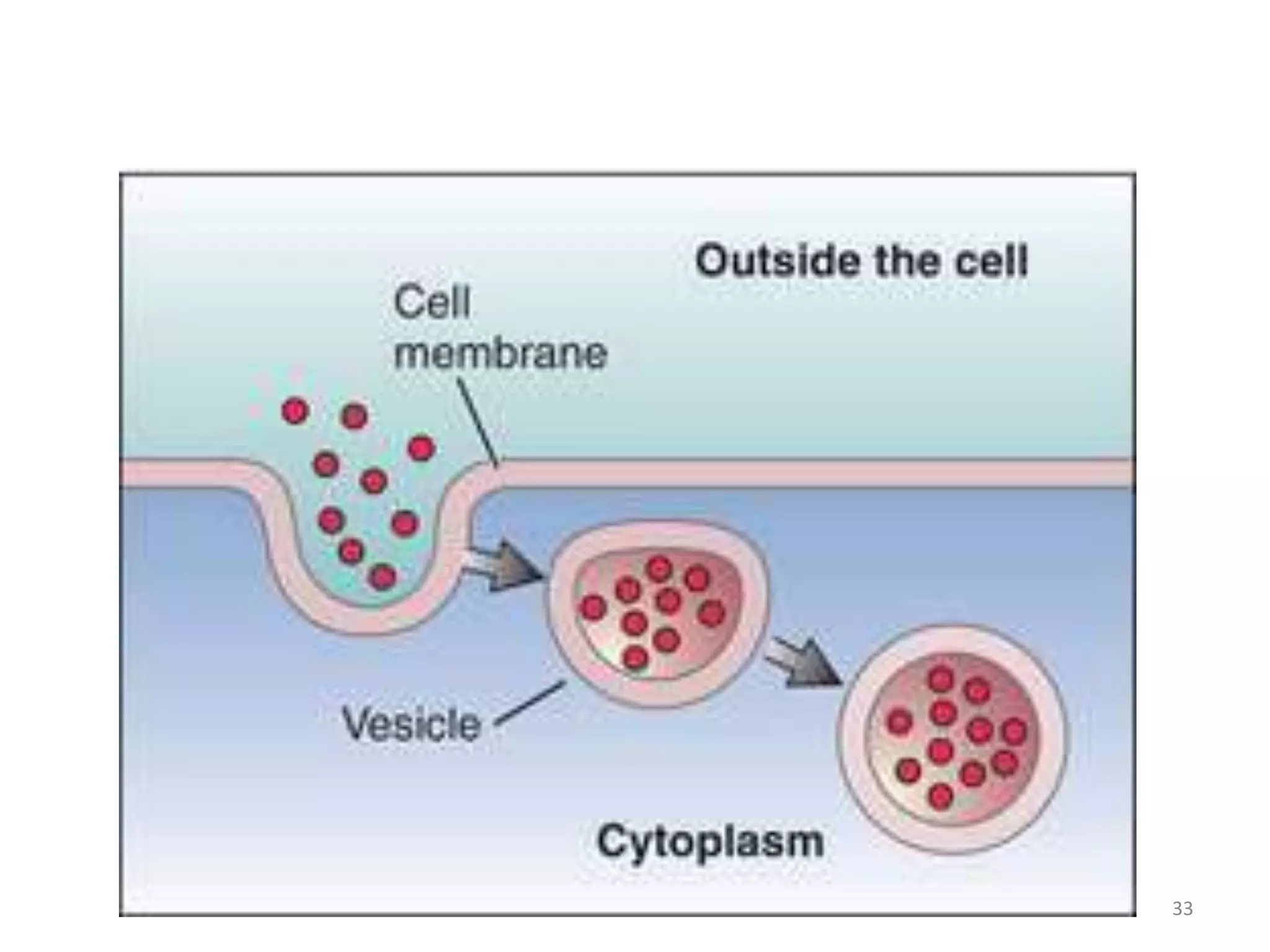 TRANSPORT ACROSS CELL MEMBRANE | PPTX