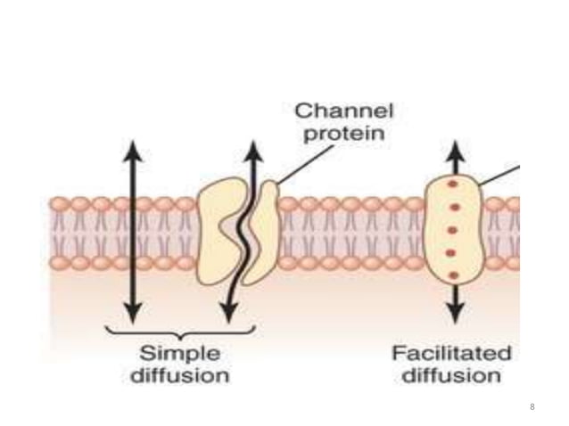 TRANSPORT ACROSS CELL MEMBRANE | PPTX