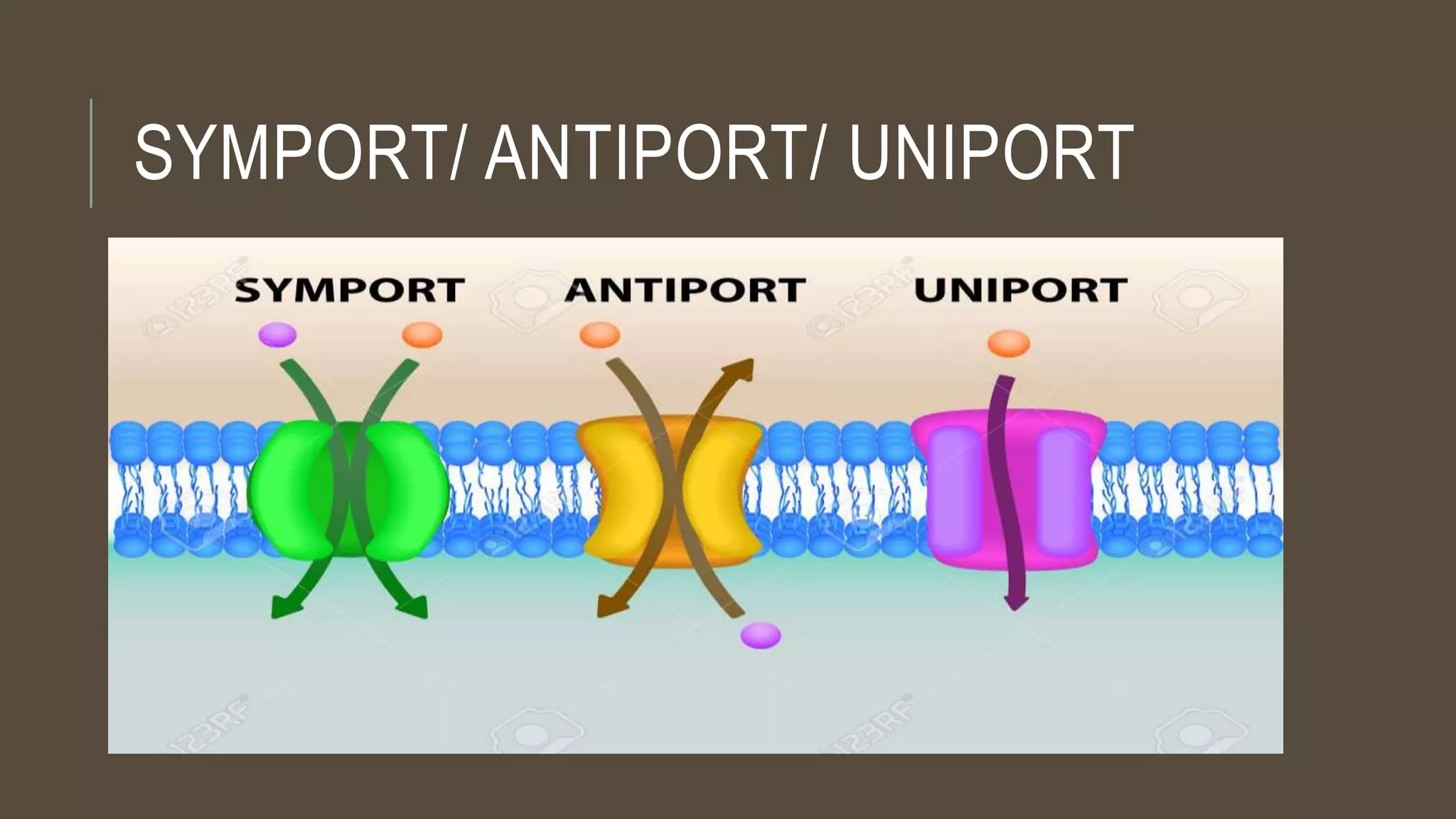 Transport across cell membrane | PPTX