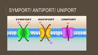 Transport across cell membrane | PPTX