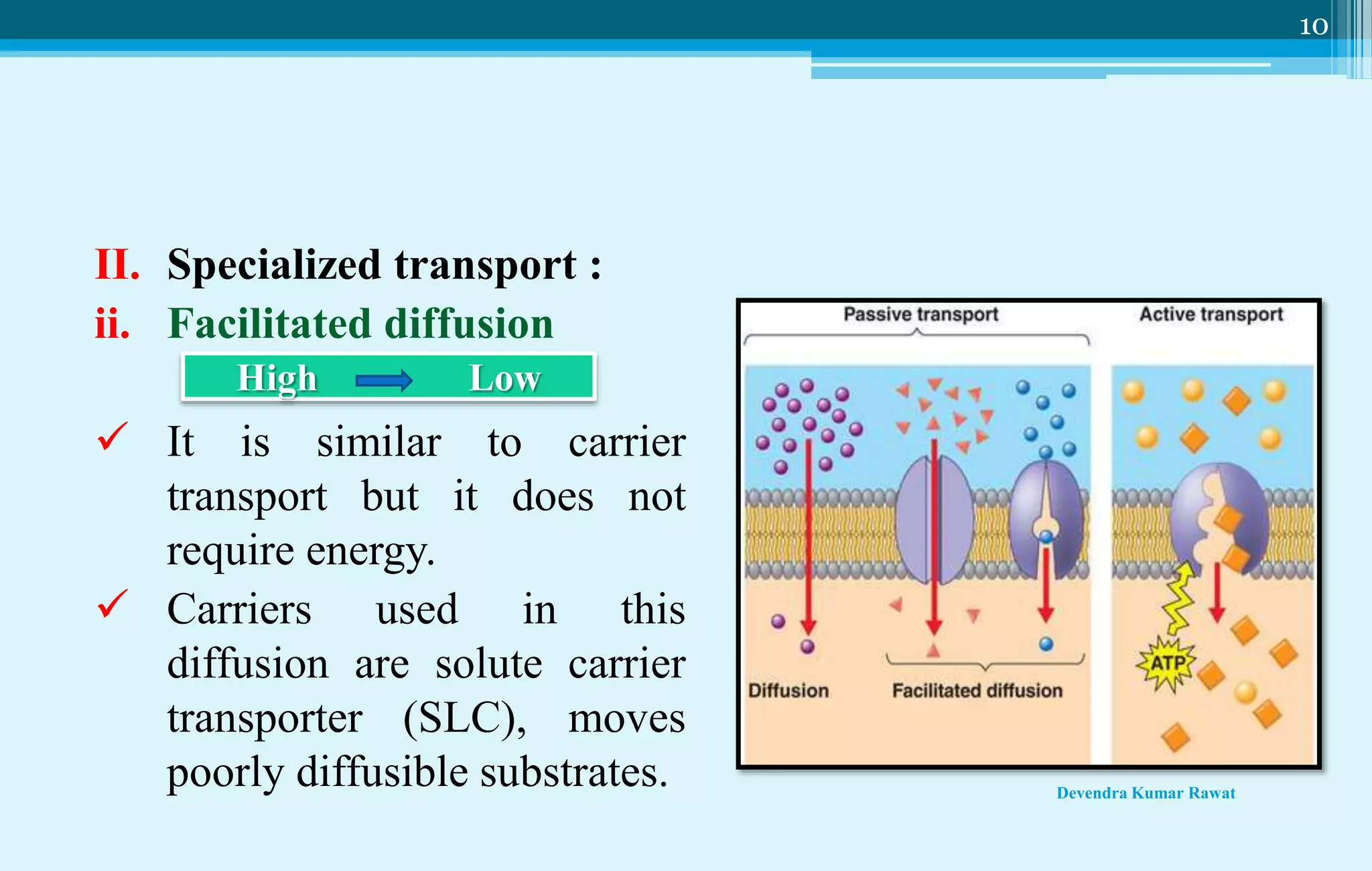 Transport across cell membrane | PPT