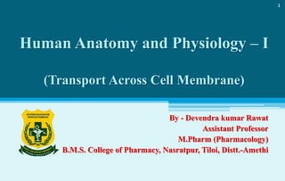 Transport across cell membrane | PPTX