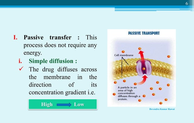 Transport across cell membrane | PPT