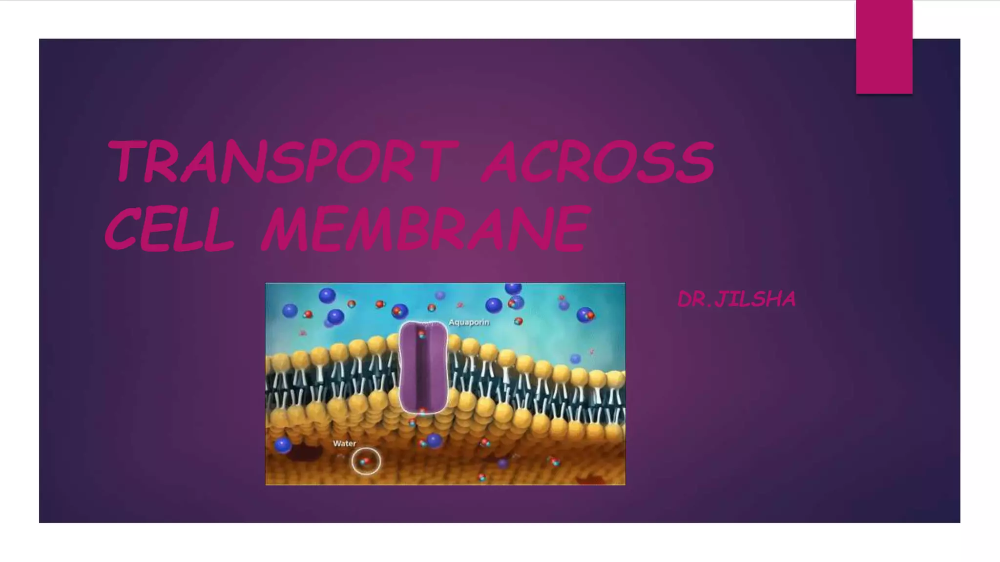 Transport across cell membrane | PPT