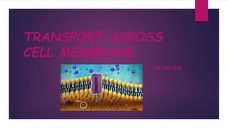 Transport across cell membrane | PPTX