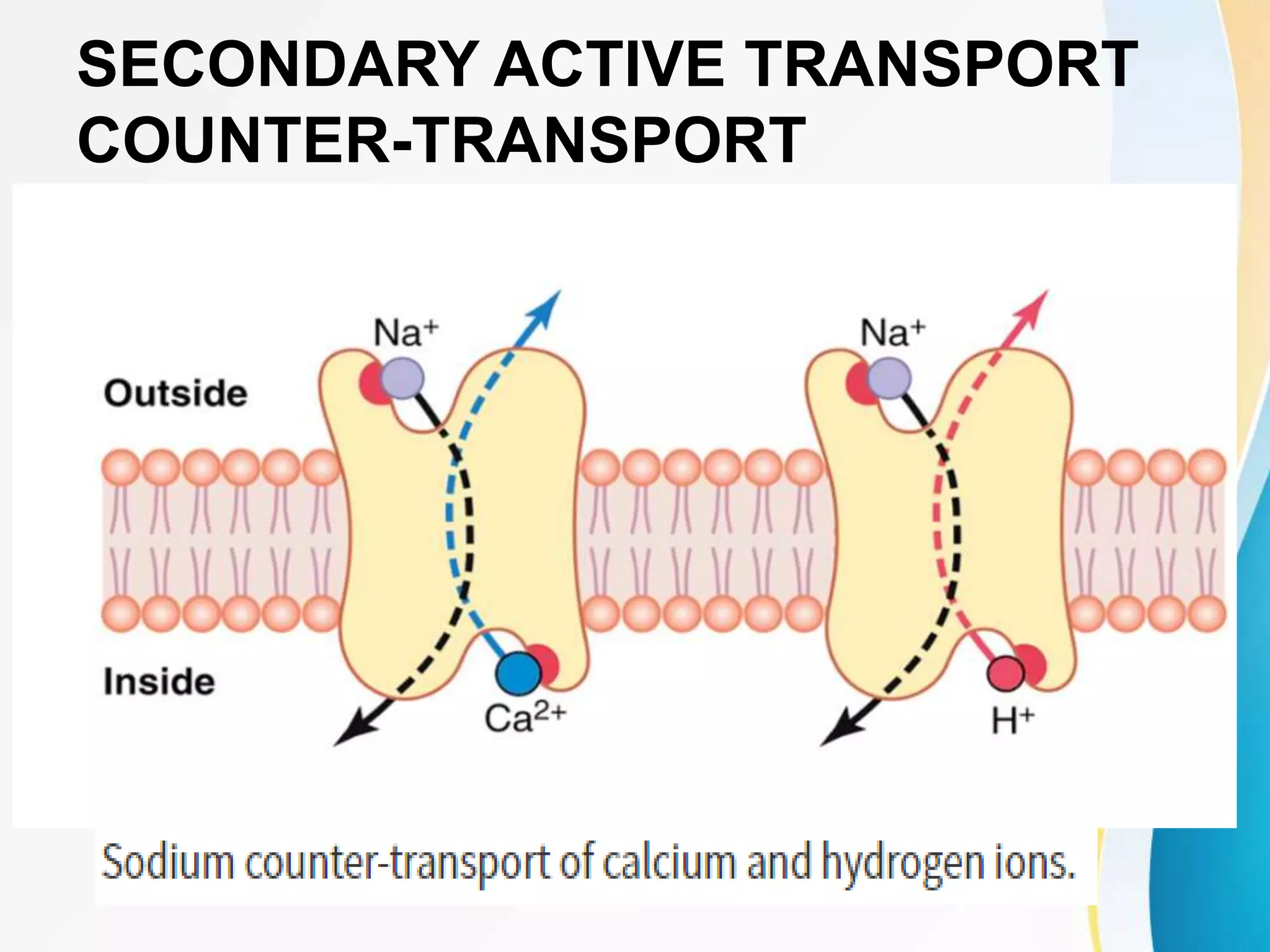 Transport across cell membrane.ppt
