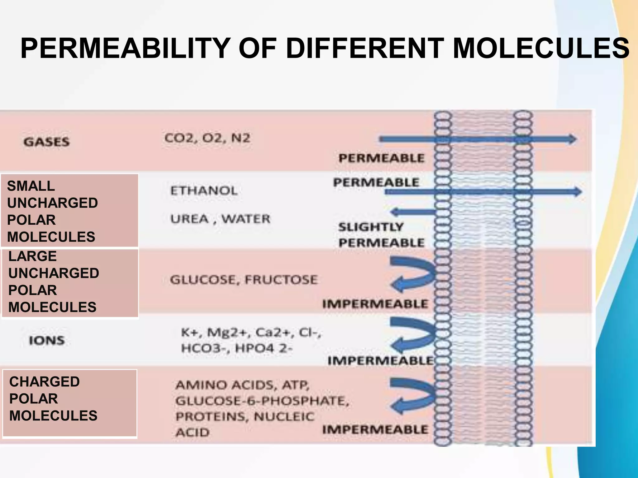 Transport across cell membrane.ppt