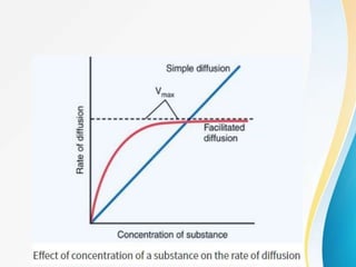 Facilitated Diffusion Graph