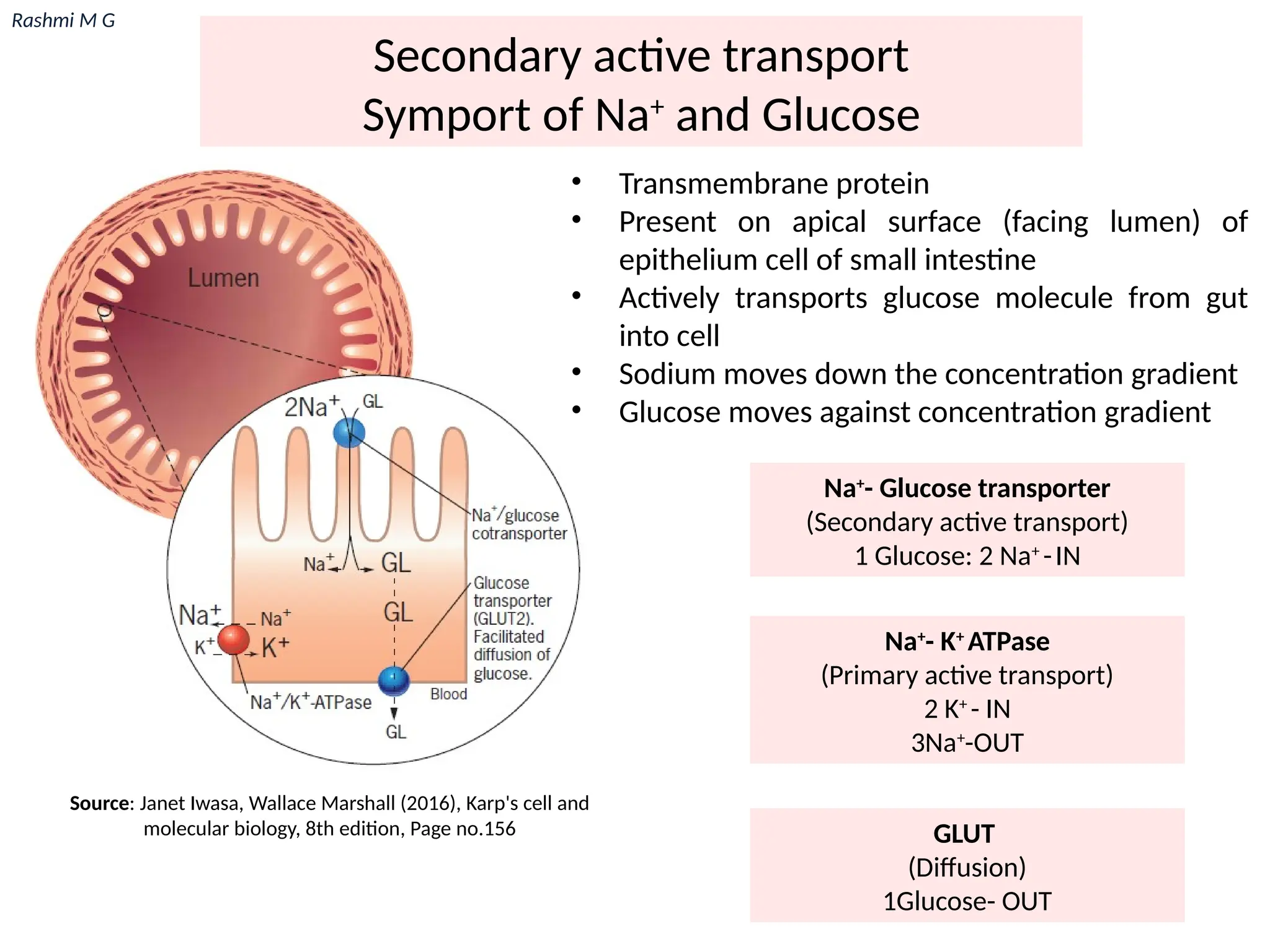 Transport across cell membrane (Diffusion, Active and Passive transport ...