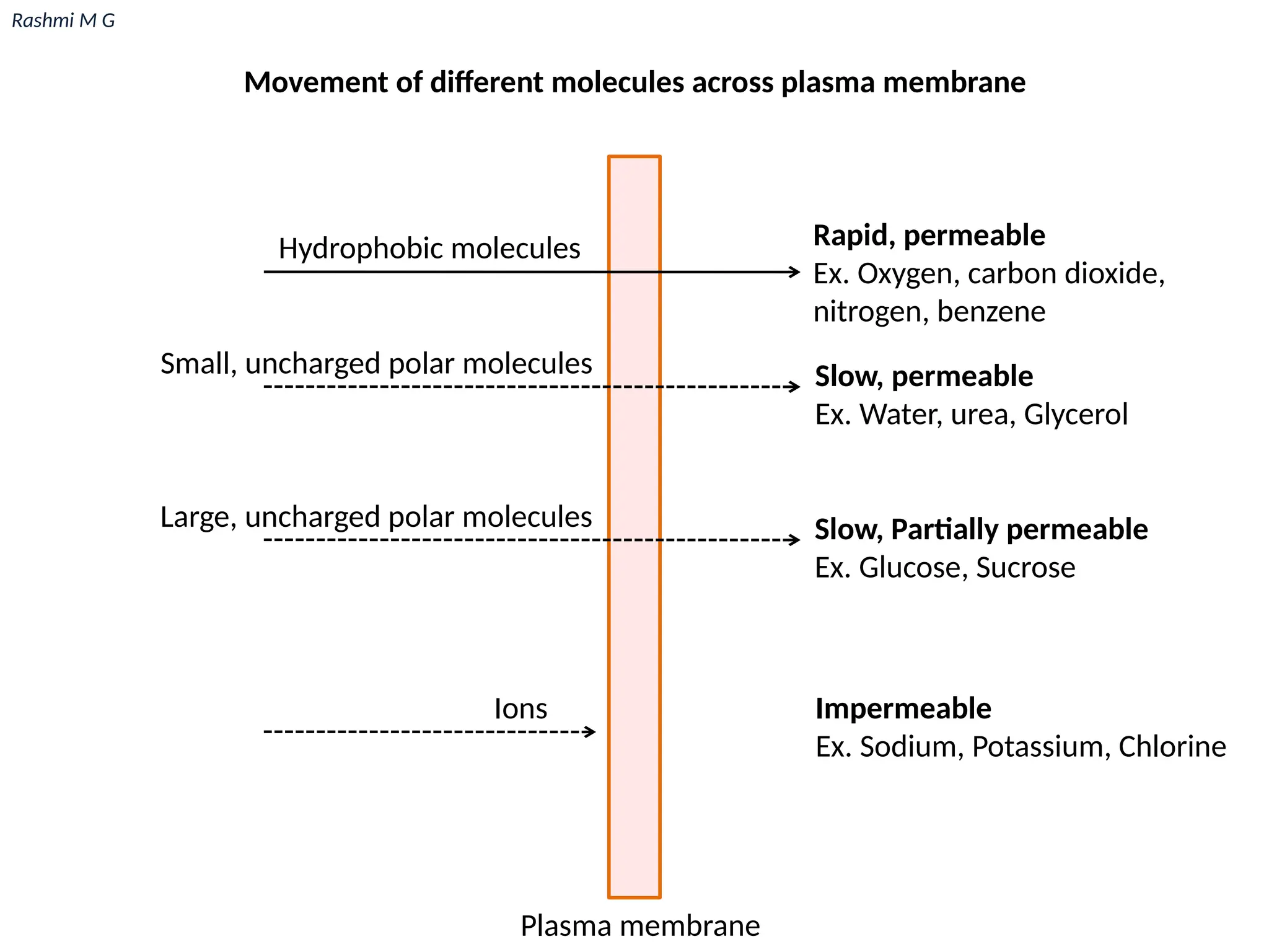 Transport across cell membrane (Diffusion, Active and Passive transport ...
