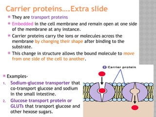 Transport across Cell Membrane human anatomy unit 1 | PPTX