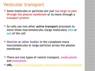 Transport across Cell Membrane human anatomy unit 1 | PPTX