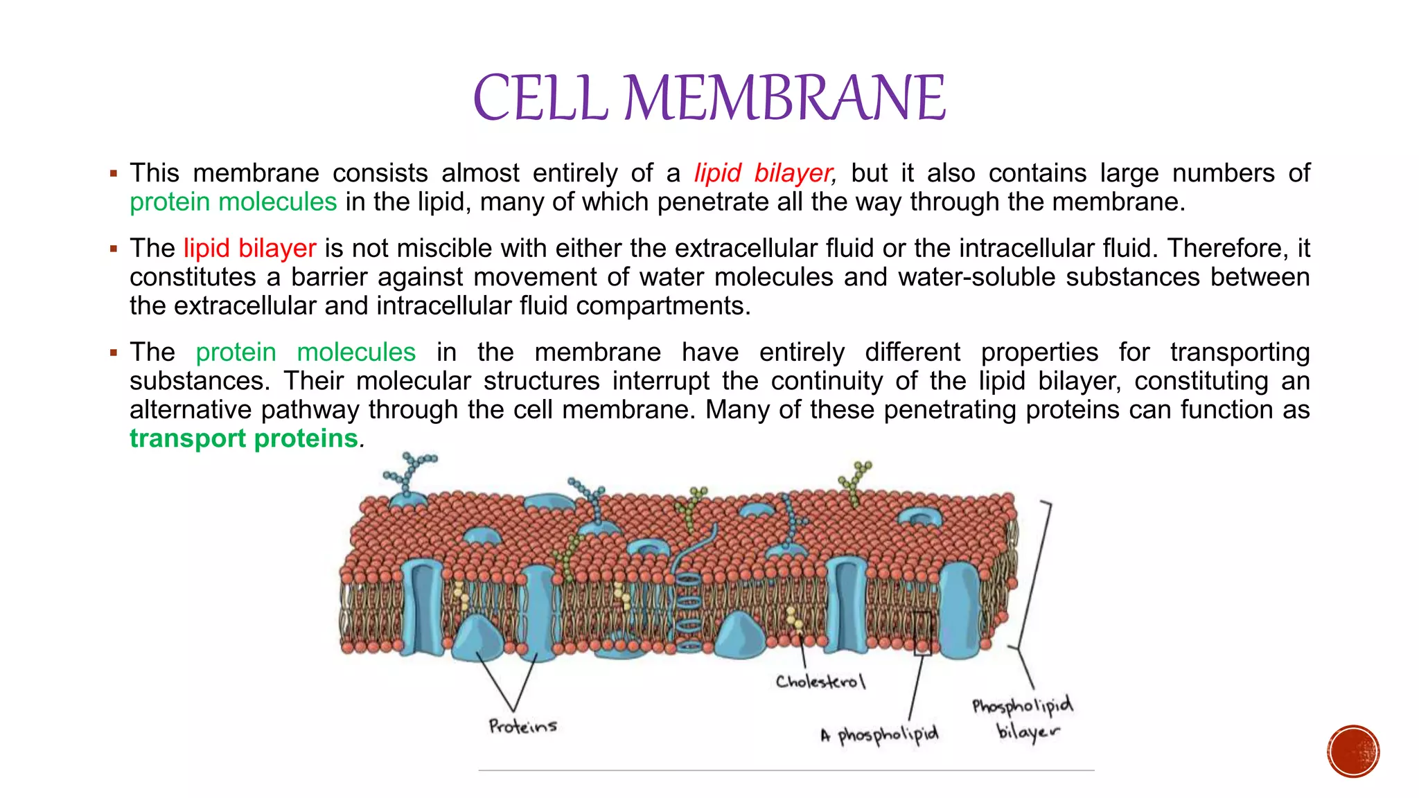 Transport across cell membrane | PPTX