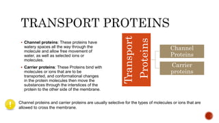 Transport across cell membrane | PPT