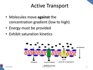 Transport across cell membrane in Physiology | PDF