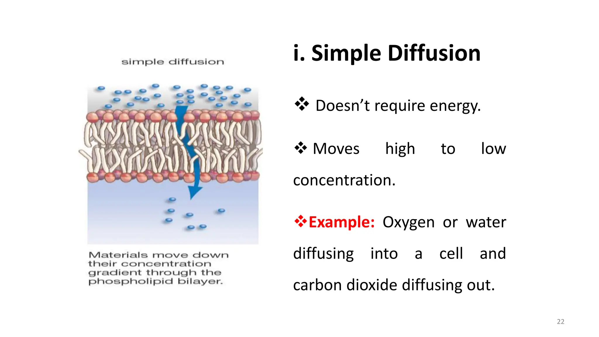Transport Across Cell Membrane, by Dr. Baqir Naqvi.pptx