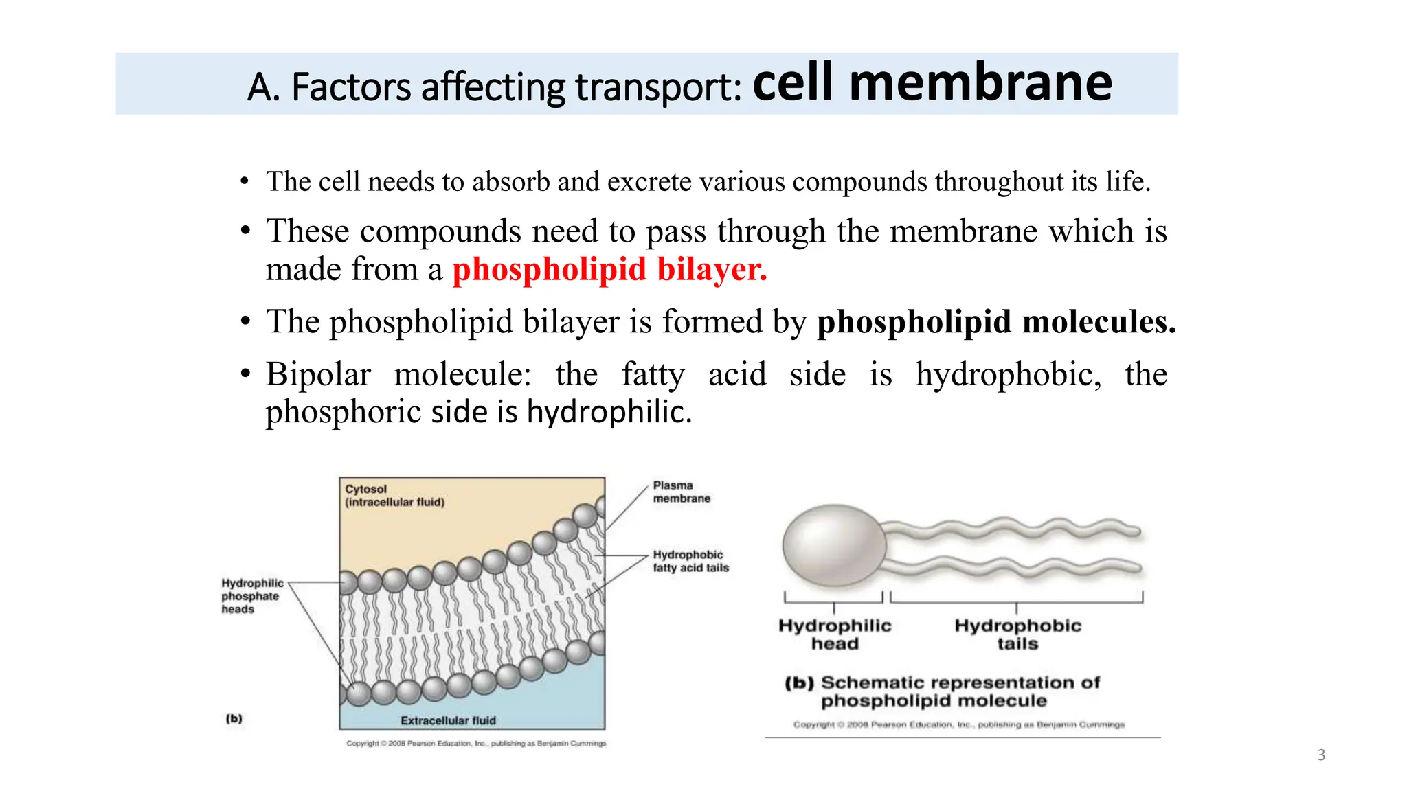 Transport Across Cell Membrane, by Dr. Baqir Naqvi.pptx