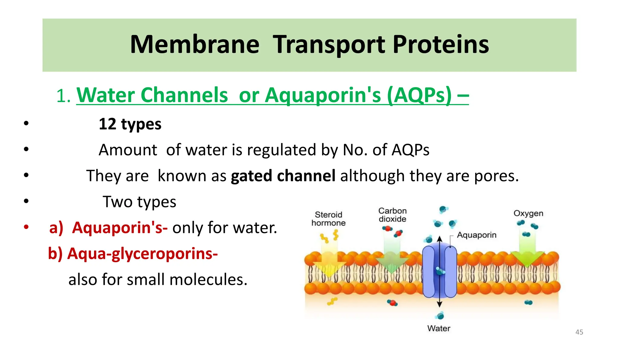 Transport Across Cell Membrane, by Dr. Baqir Naqvi.pptx