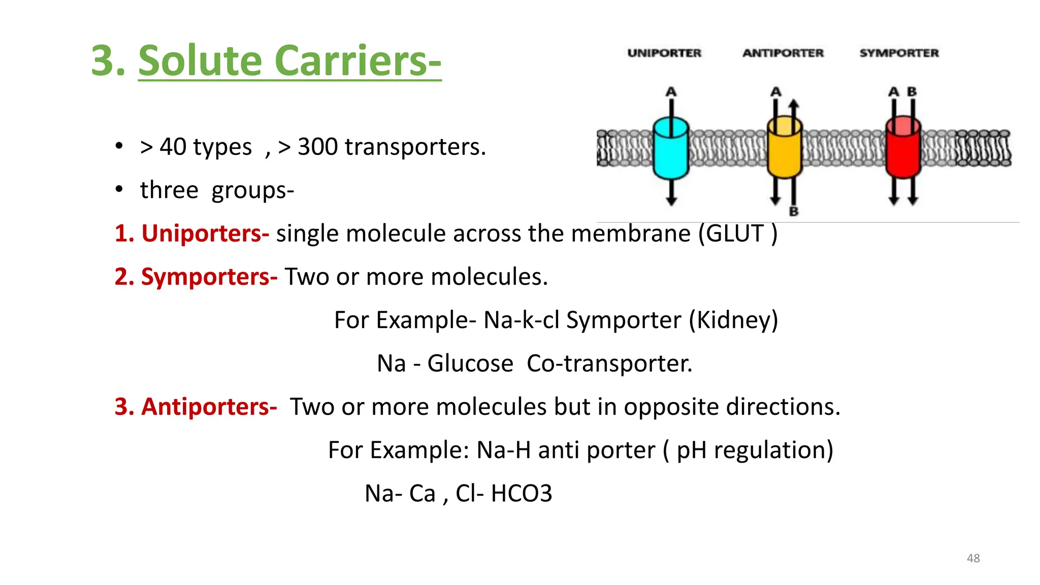 Transport Across Cell Membrane, by Dr. Baqir Naqvi.pptx