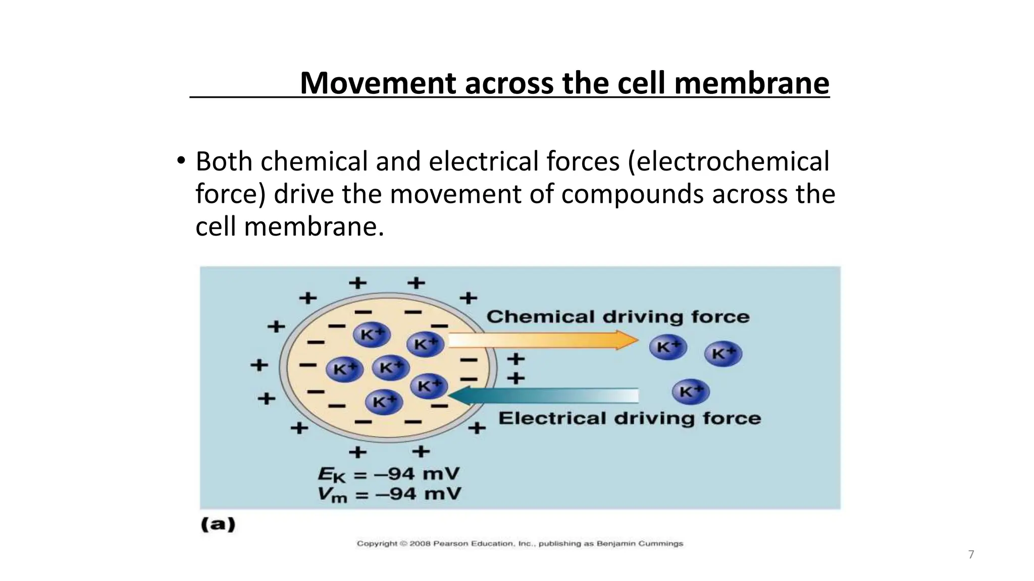 Transport Across Cell Membrane, by Dr. Baqir Naqvi.pptx