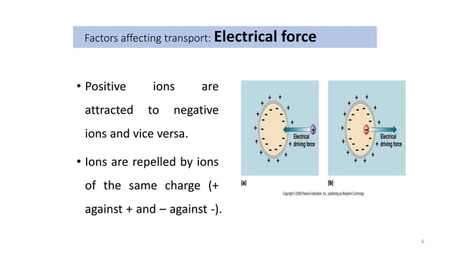 Transport Across Cell Membrane, by Dr. Baqir Naqvi.pptx