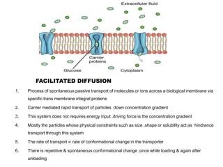 Transport across cell membrane i and ii | PPTX