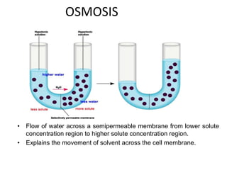 Transport across cell membrane i and ii | PPTX