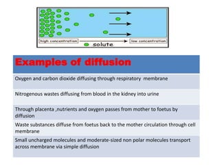Transport across cell membrane i and ii | PPTX