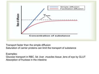 Facilitated Diffusion Graph