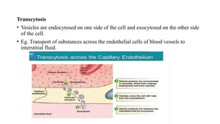 TRANSPORT ACROSS CELL MEMBRANE ppt.pptxm | PPTX