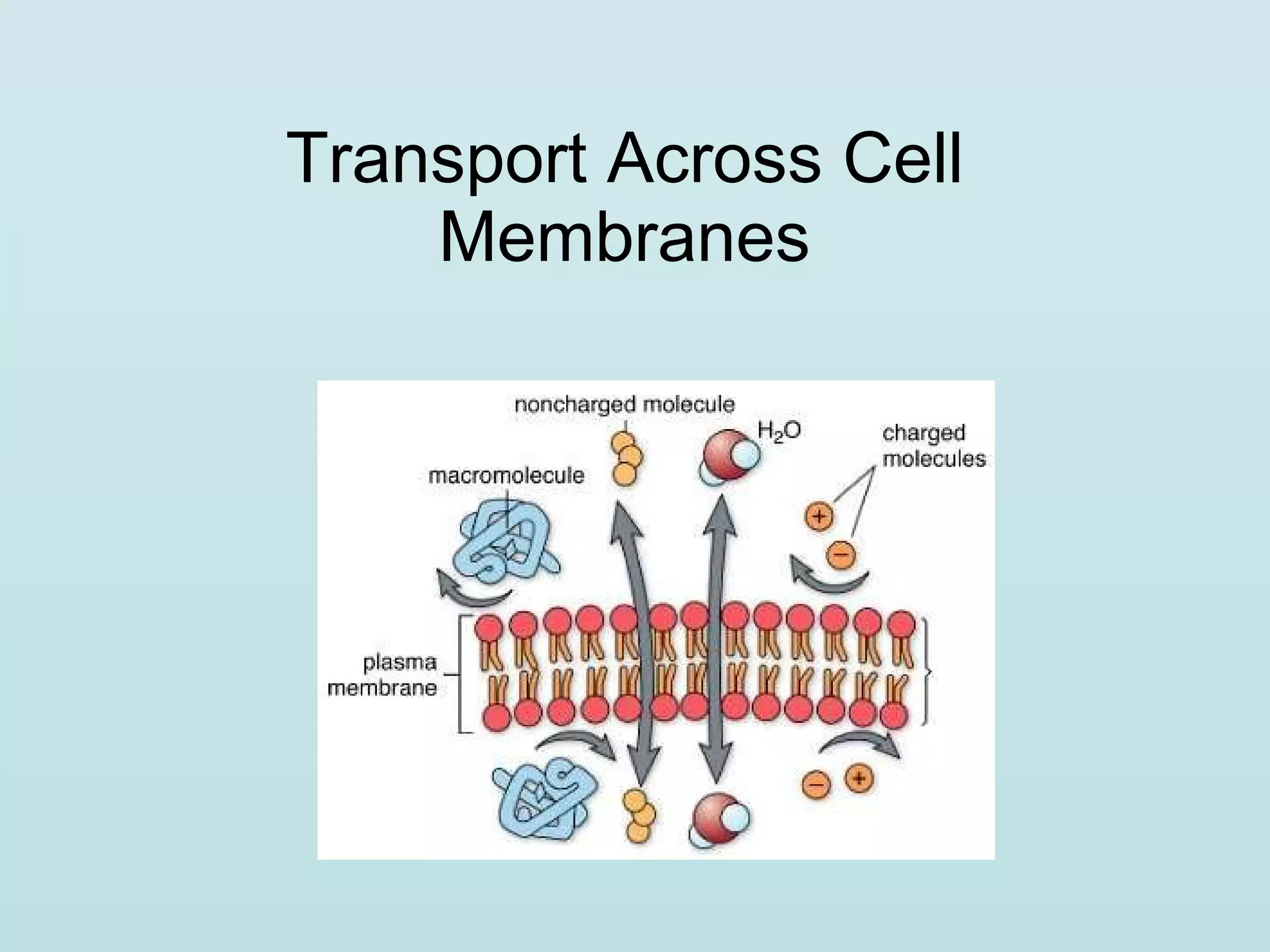 Transport Across Cell Membranes | PPT