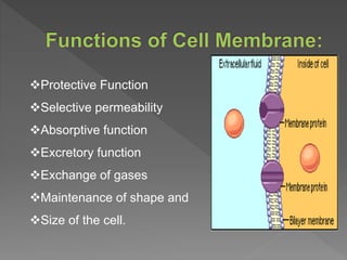 Transport across membrane | PPTX