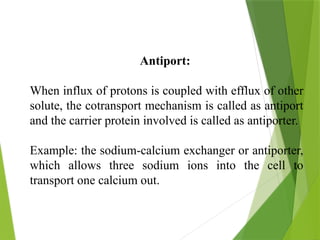 Transport across membrane active and passive transport its importance ...
