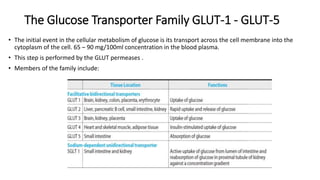 Transport across membranes passive transport | PPTX