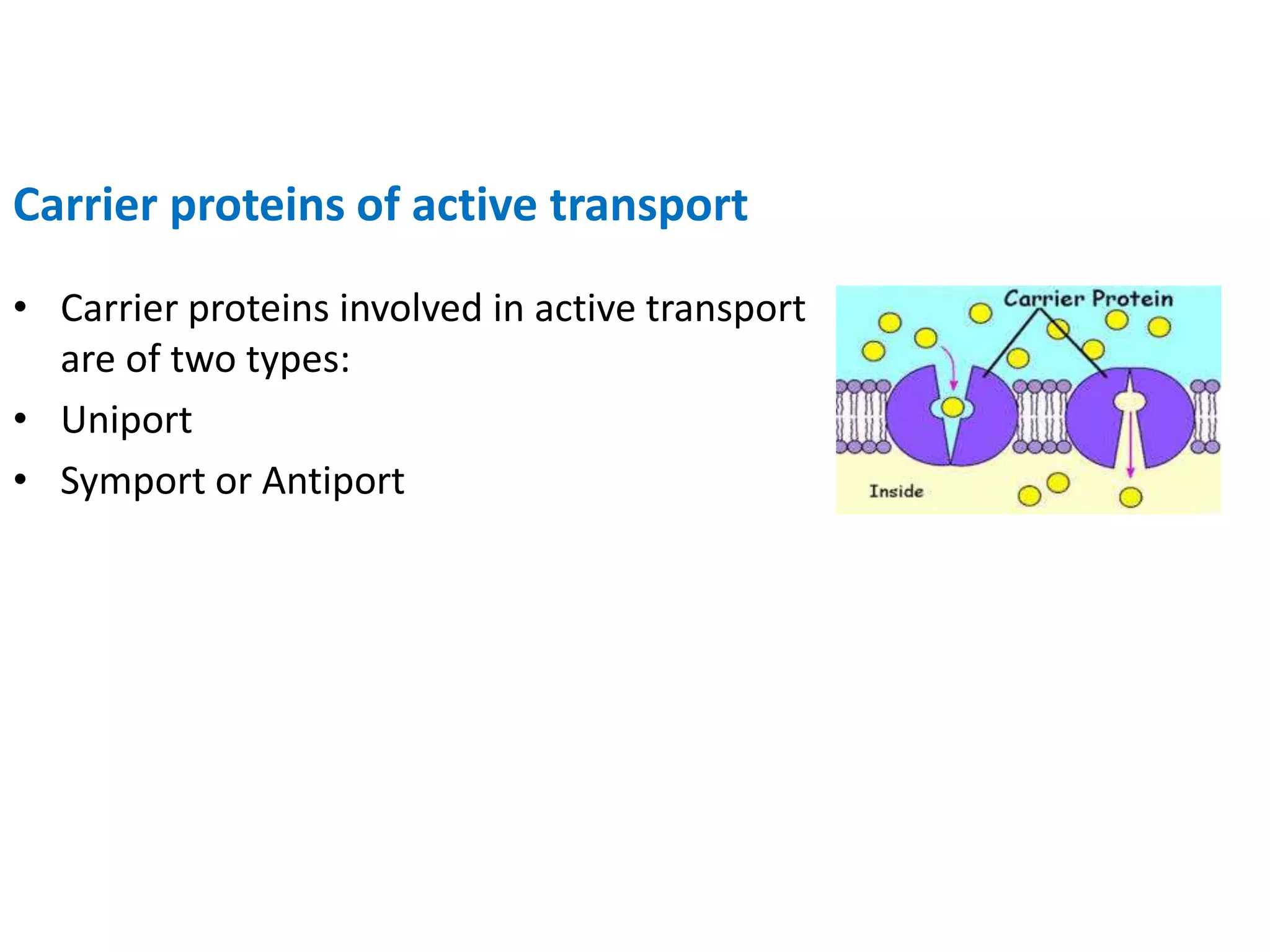 Transport across plasma membrane | PPTX