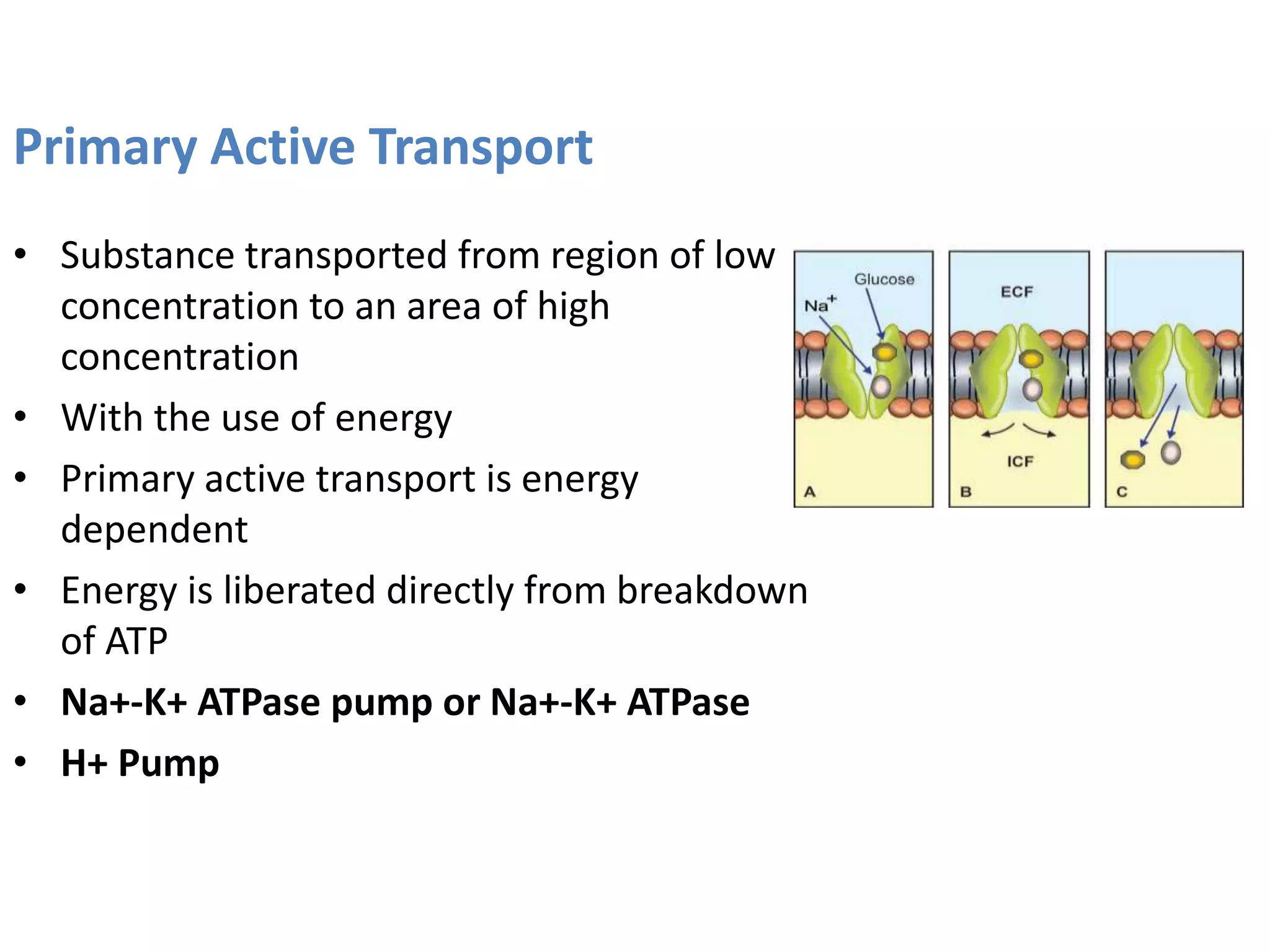Transport across plasma membrane | PPTX