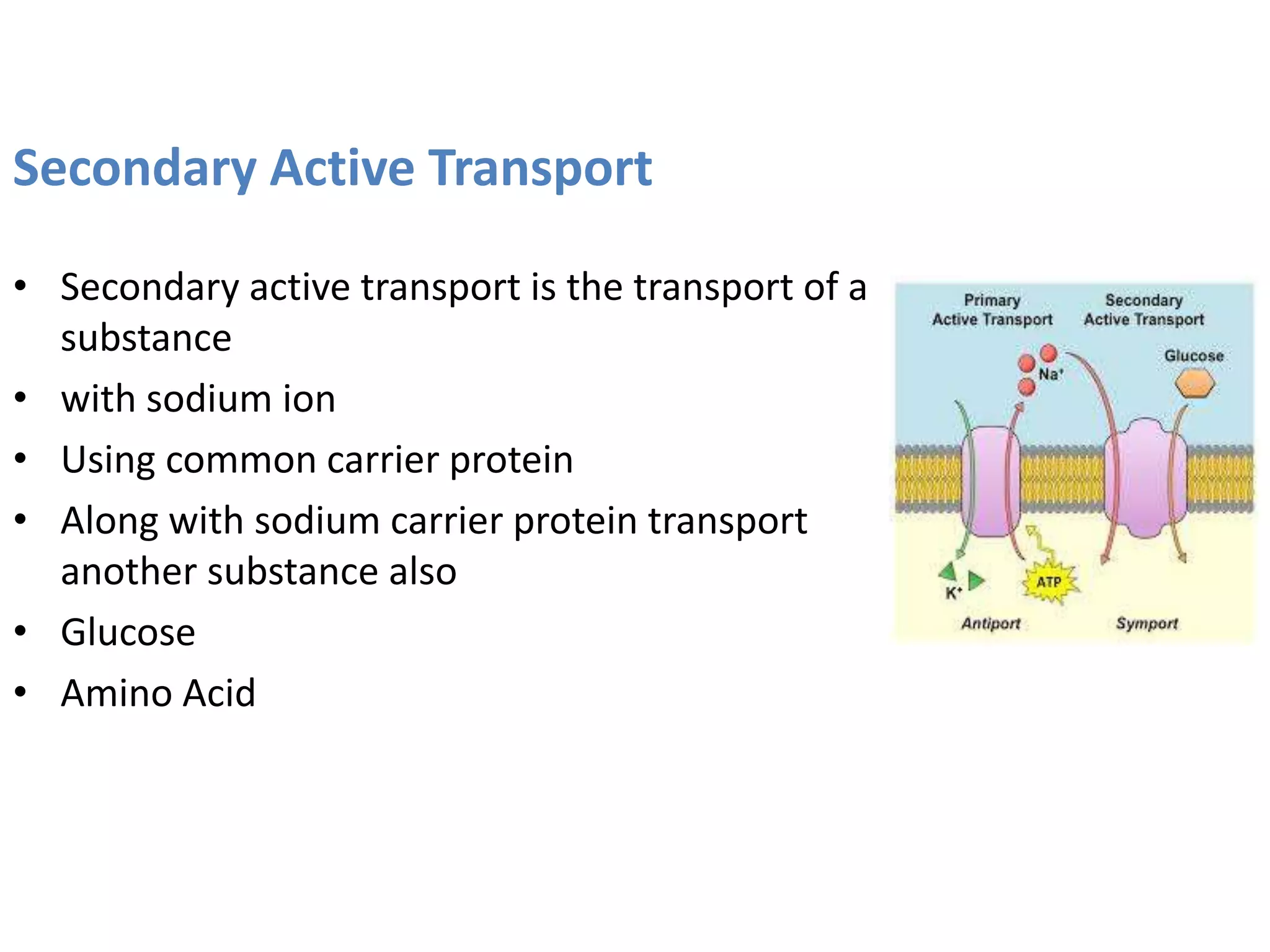 Transport across plasma membrane | PPTX
