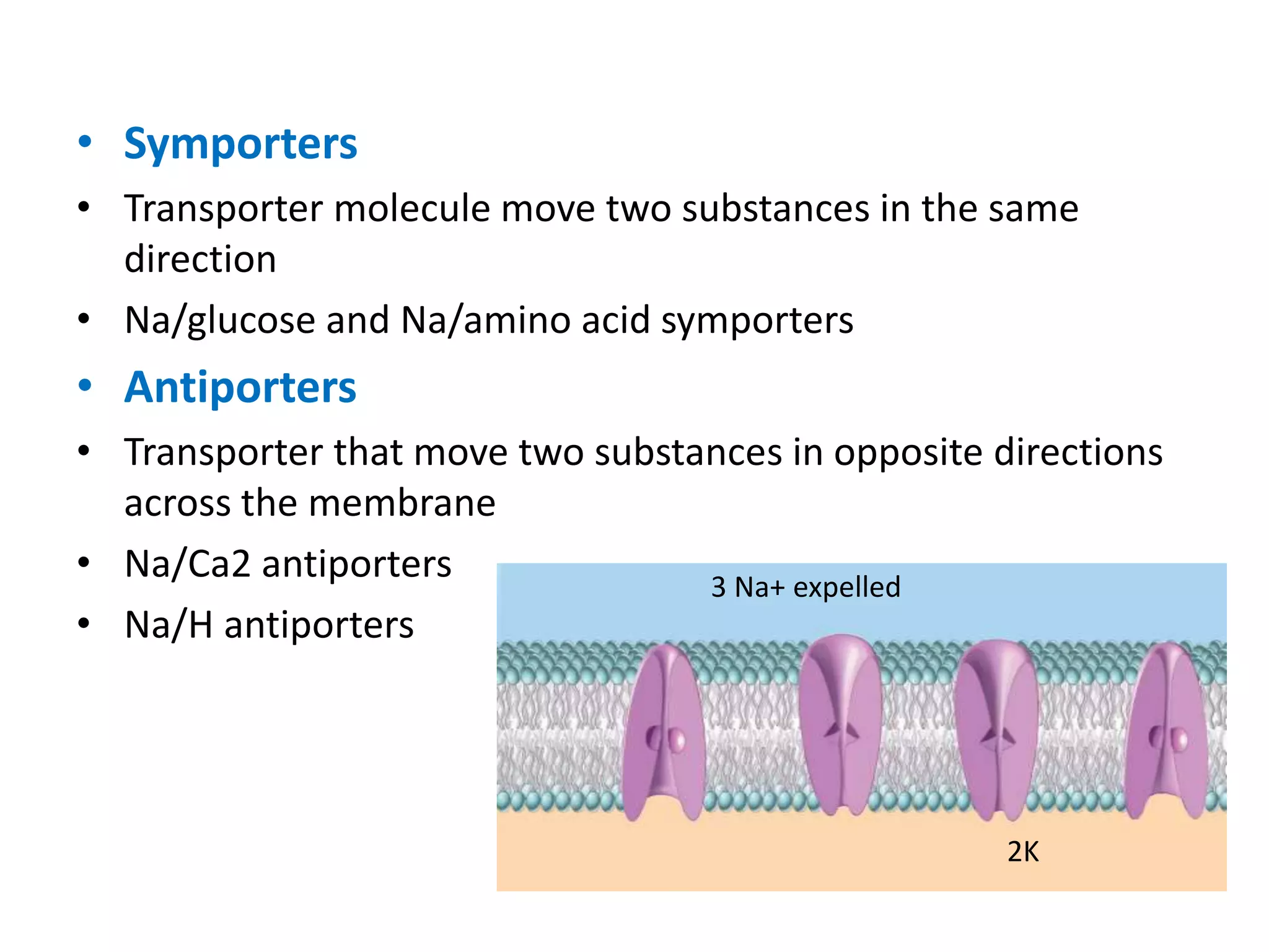 Transport across plasma membrane | PPTX | Chemistry | Science
