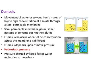 Transport across plasma membrane | PPTX