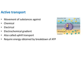 Transport across plasma membrane | PPTX