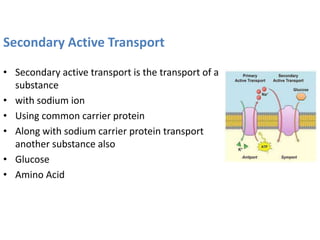 Transport across plasma membrane | PPTX