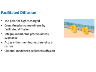 Transport across plasma membrane | PPTX