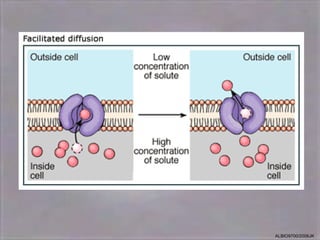 Transport across plasma membrane | PPT
