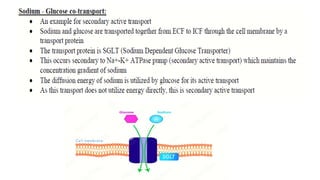 TRANSPORT ACROSS TE CELL MEMBRANE BY DR AMBI.ppsx