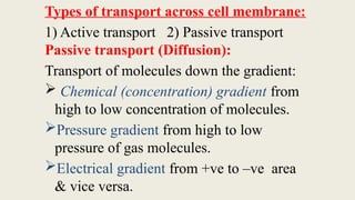 Transport across the cell membrane-1.pptx