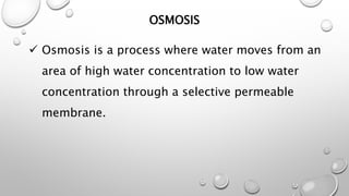 Transport across the cell membrane | PPT