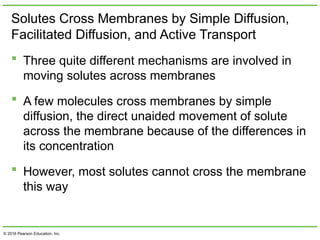 TRANSPORT across the membrane edited (1).pptx