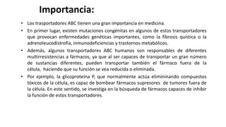 Transportadores abc | PPTX